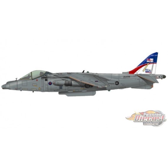 BAe Harrier GR.Mk 9 / RNSW, ZD406, RAF Cottesmore, UK, 2009 / Hobby ...