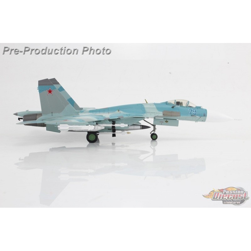 Sukhoi Su-27K Flanker-D / Russian Air Force, Blue 79, 1995, + Kh-41 ...